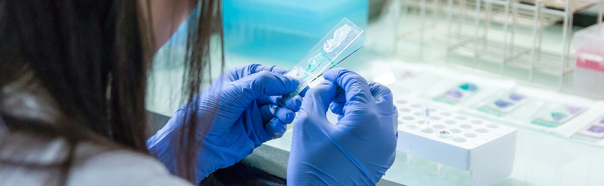 Chemtest Easy Life Easy Test